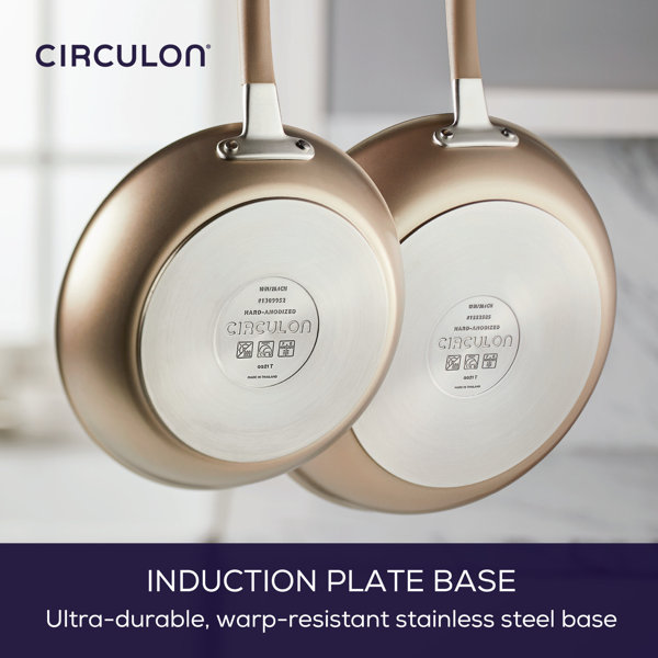 Circulon Premier Professional Hard Anodized Nonstick Cookware Induction Pots And Pans Set, 10 ...